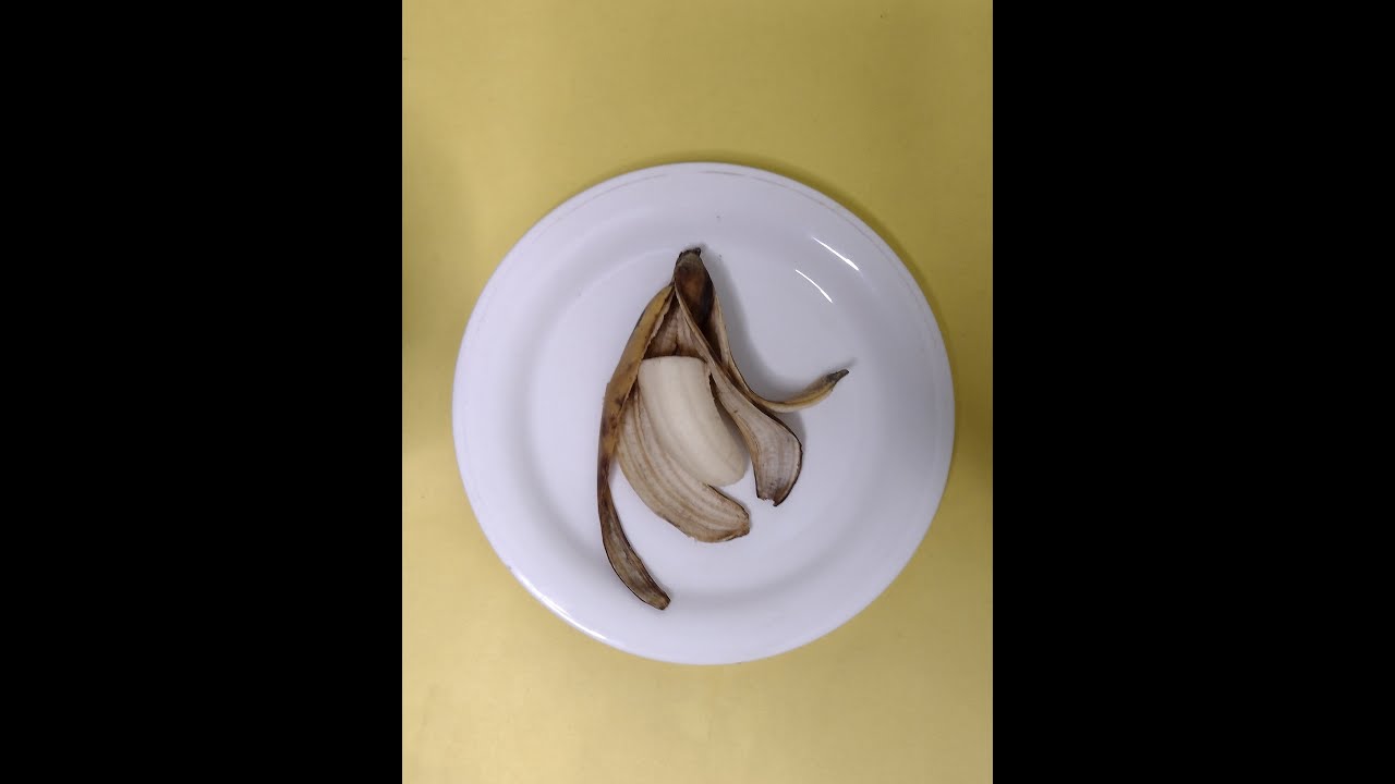 BANANA TIME LAPSE | Food spoilage series| TIME FLIES - YouTube