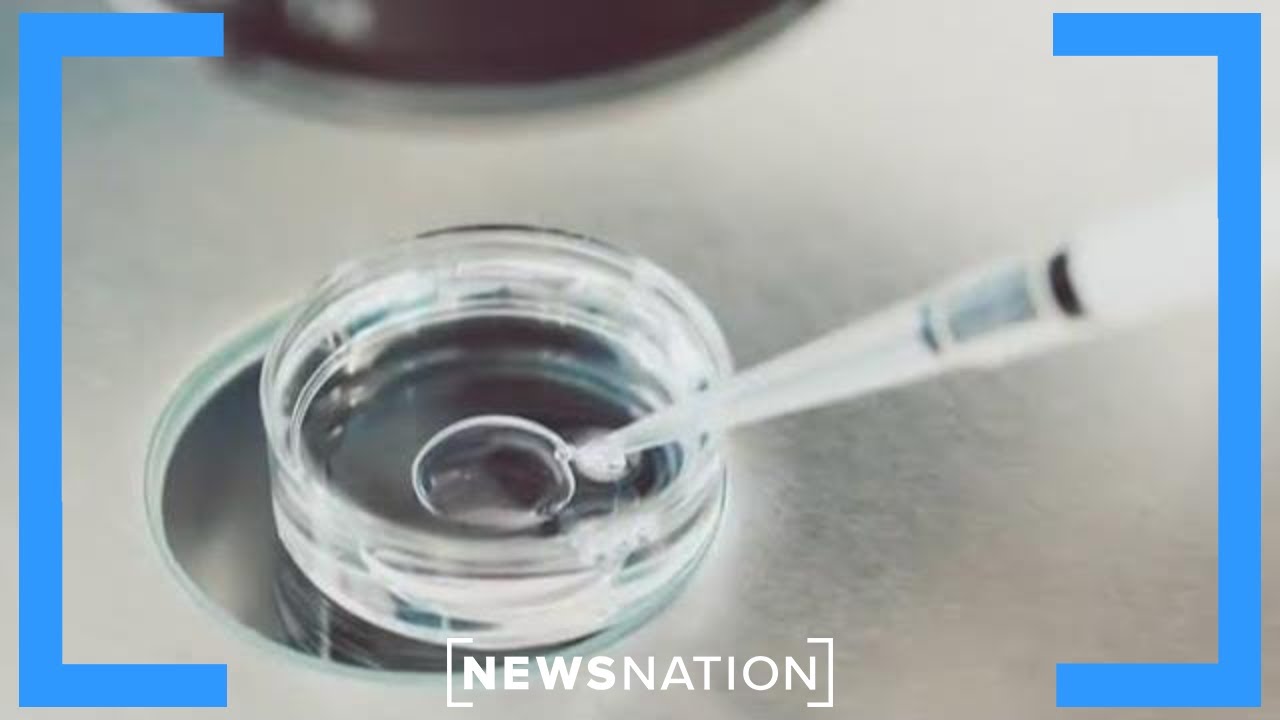 Frozen embryo controversy: Is Alabama making IVF illegal? | Dan Abrams ...