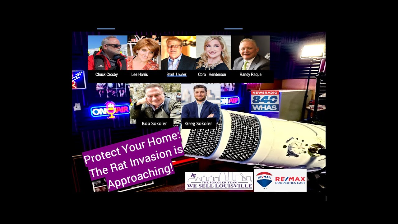 Protect Your Home: The Rat Invasion is Approaching! - YouTube