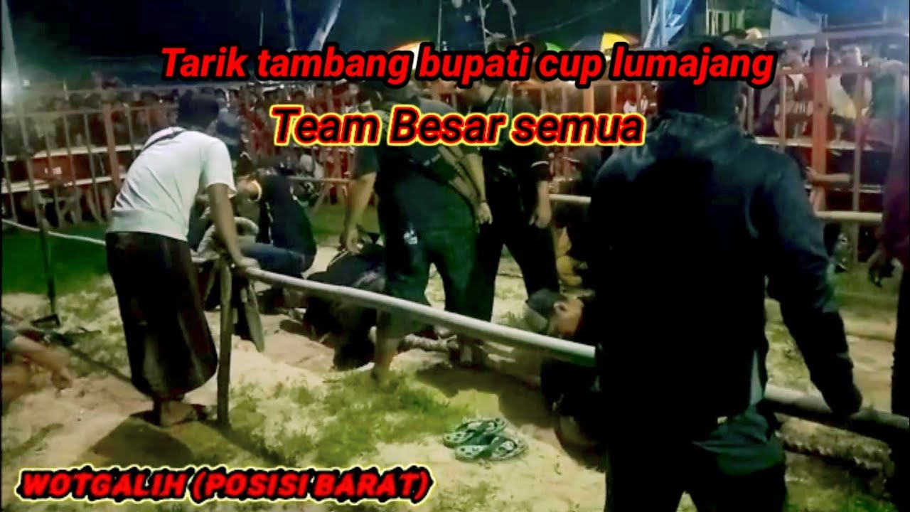Kelas Berat Jawara wotgalih vs Bodang tarik tambang bupati cup lumajang ...