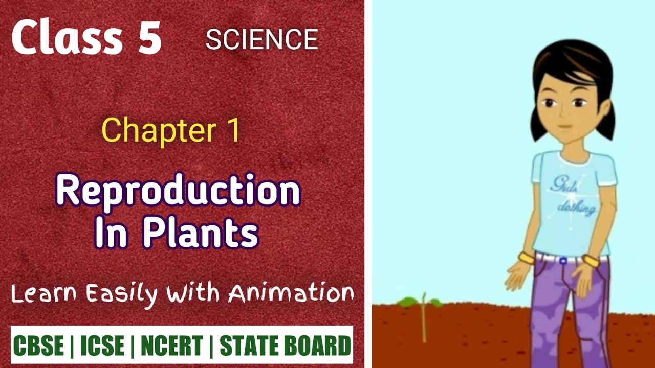 Reproduction In Plants | Class 5 | CBSE | ICSE | State Board | Free ...