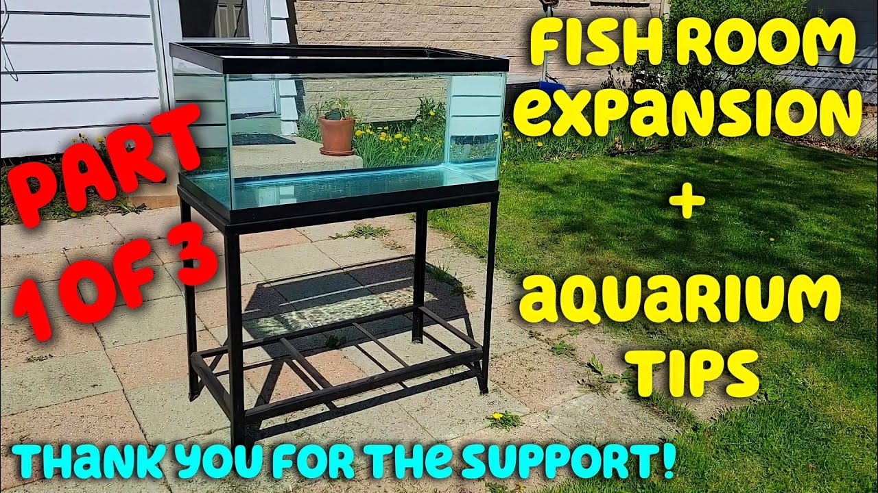 Fish Room Expansion + Aquarium Tips + Full Tour (Part 1 of 3) - YouTube