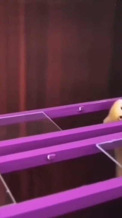 Оригинал в звуке, кто напишет вор в коментариях тот гей - YouTube