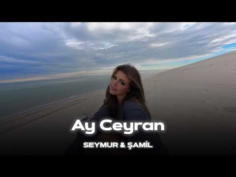 Seymur Memmedov & Şamil Memmedli – Ay Ceyran 2026 | Yeni Mahni