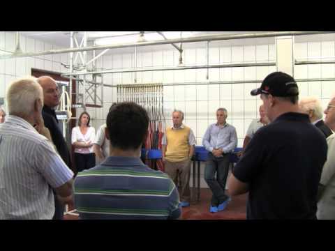 Anglian Turkey Association Farm Walk: Appledore Turkeys, Kent - YouTube