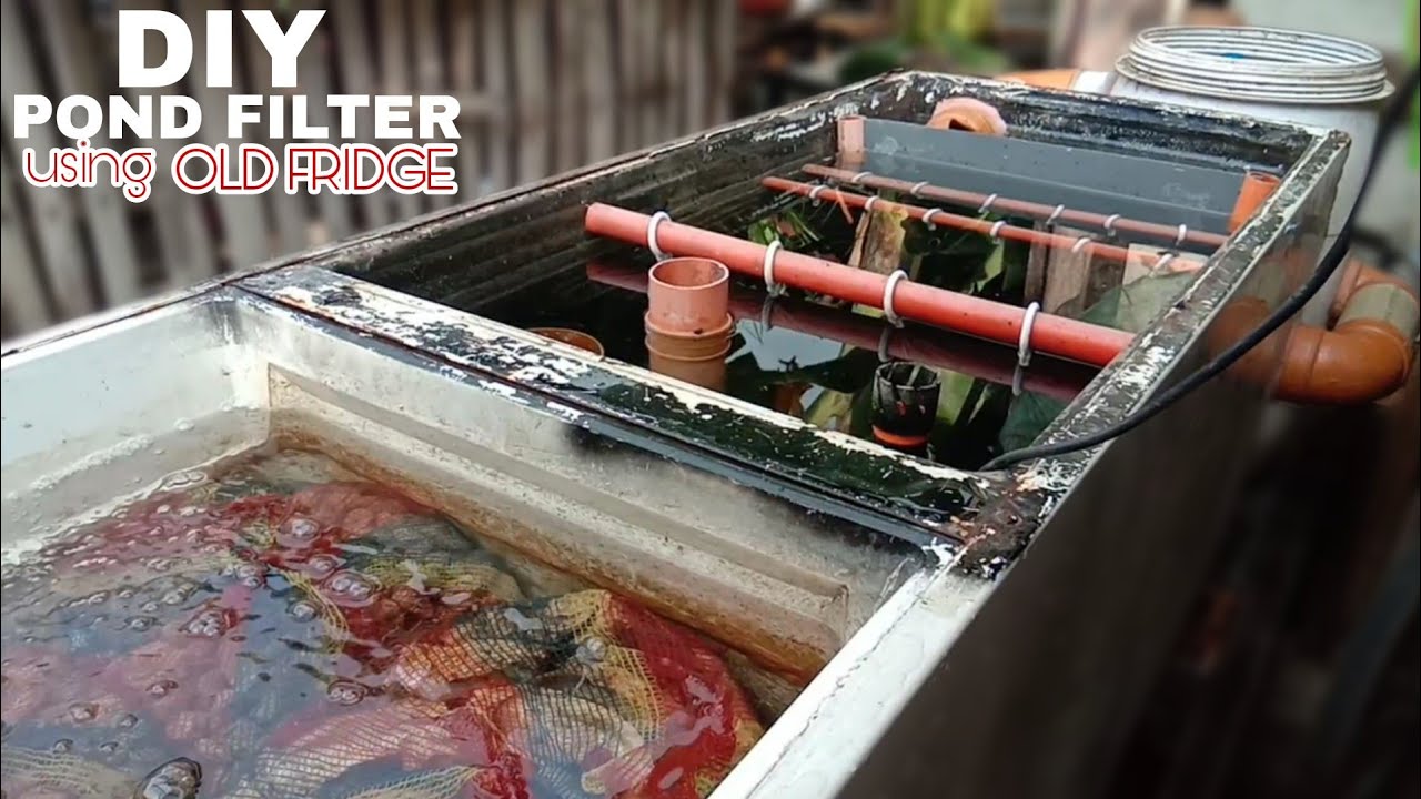 HOW TO MAKE DIY POND FILTER using OLD FRIDGE - YouTube