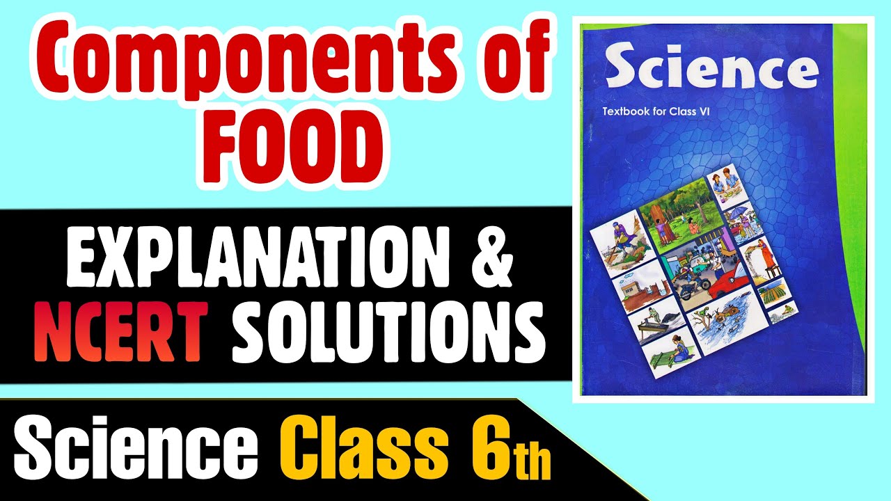 Components of Food Class 6 Science with Question Answers - YouTube
