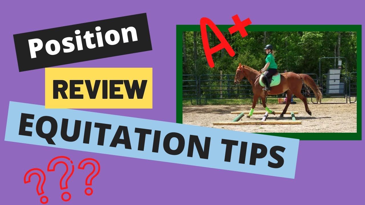 Horse Riding Position Review and Equitation Tips - YouTube