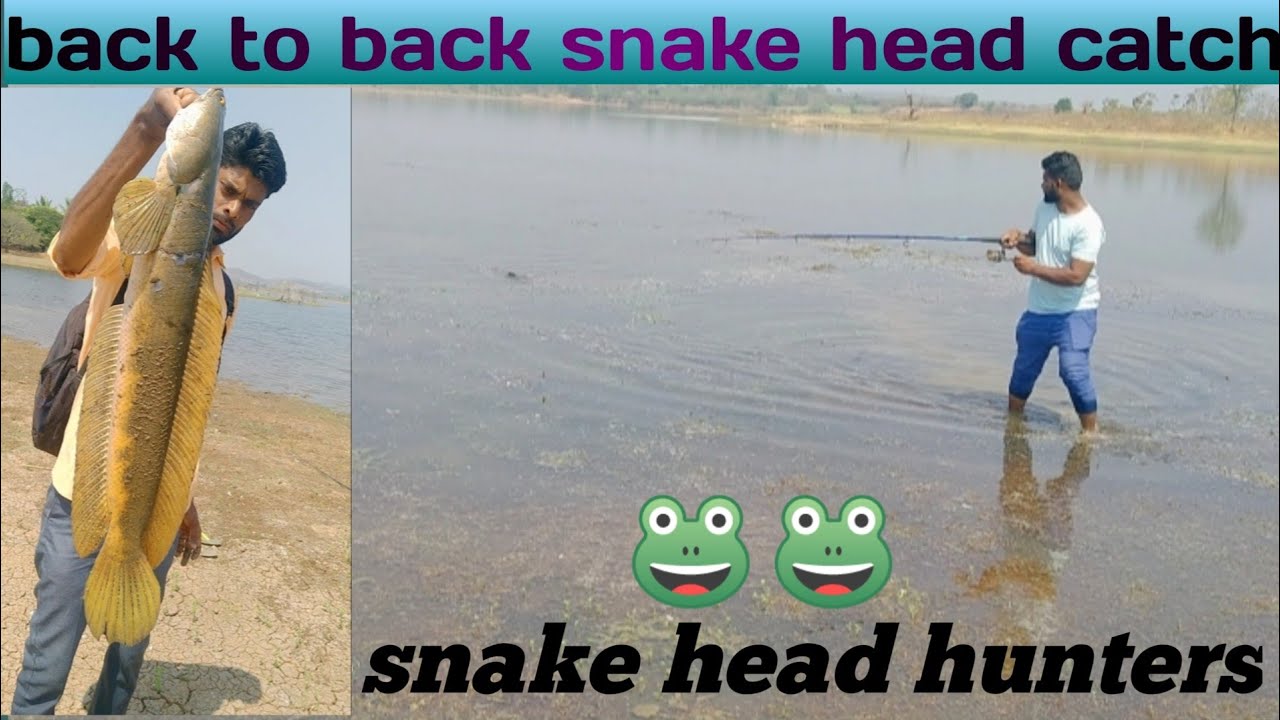 snake head fishing mural machli ka shikar - YouTube