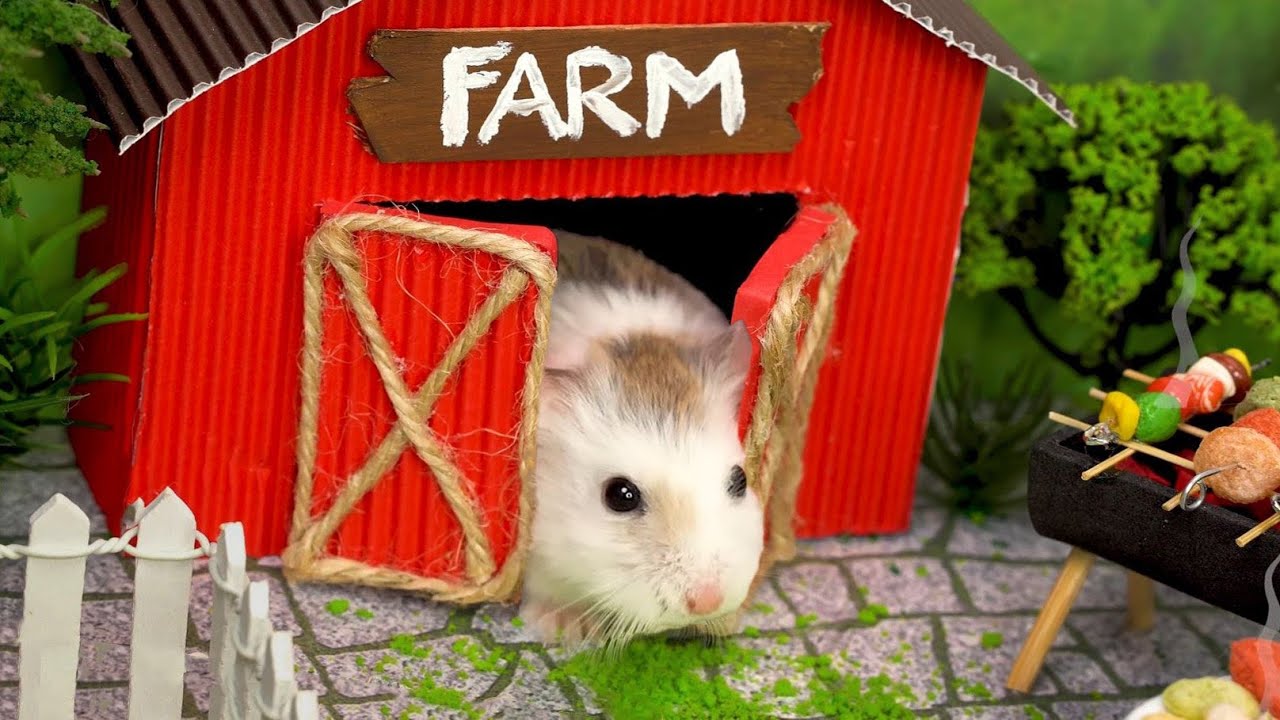 🐹 HAMSTER MAZEEE !!! 🐭 Farm Hamster Maze With Traps Obstacle Course ...