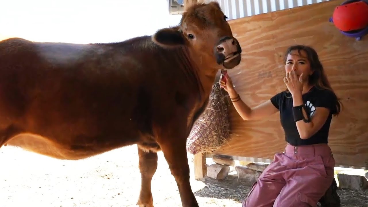 Maya gives Winnie EVEN MORE scratches at Alveus - YouTube