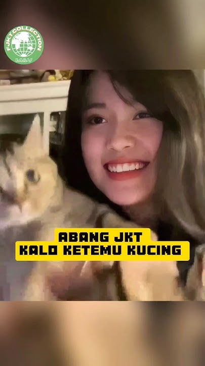 ABANG JKT KALO KETEMU KUCING IMUT NYA KELUAR #adeljkt48 #jkt48 #jkt48member #shorts #jkt48newera ...