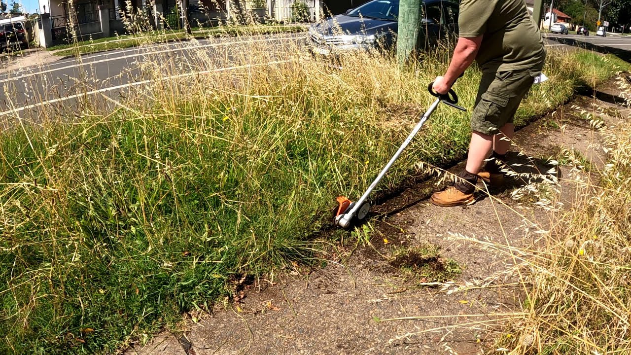 3 Years Of Nasty OVERGROWN Grass GROWTH Gets FREE Lawn Care ...