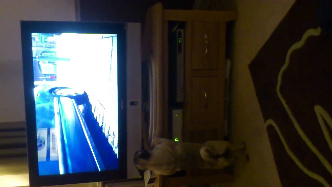 Pug hates itv pug - YouTube