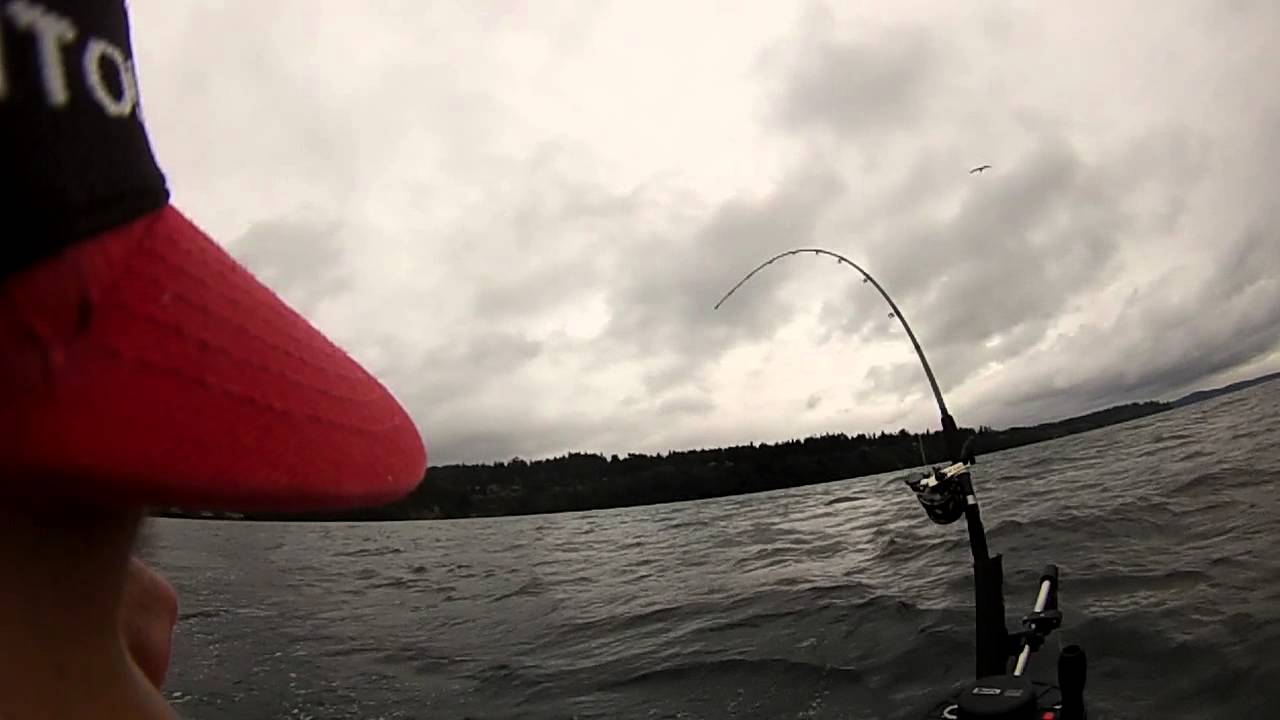 Fishing for Fall Coho Salmon in Puget Sound, Part I - YouTube