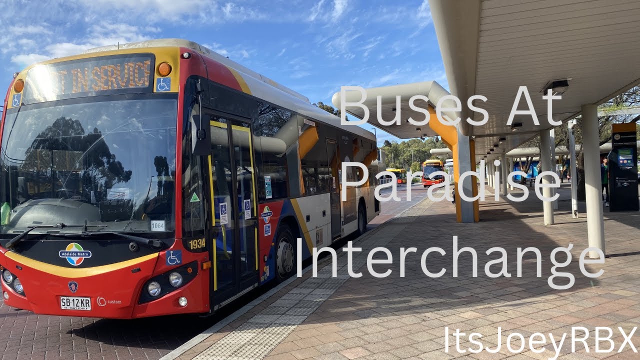 Buses At Paradise Interchange - YouTube
