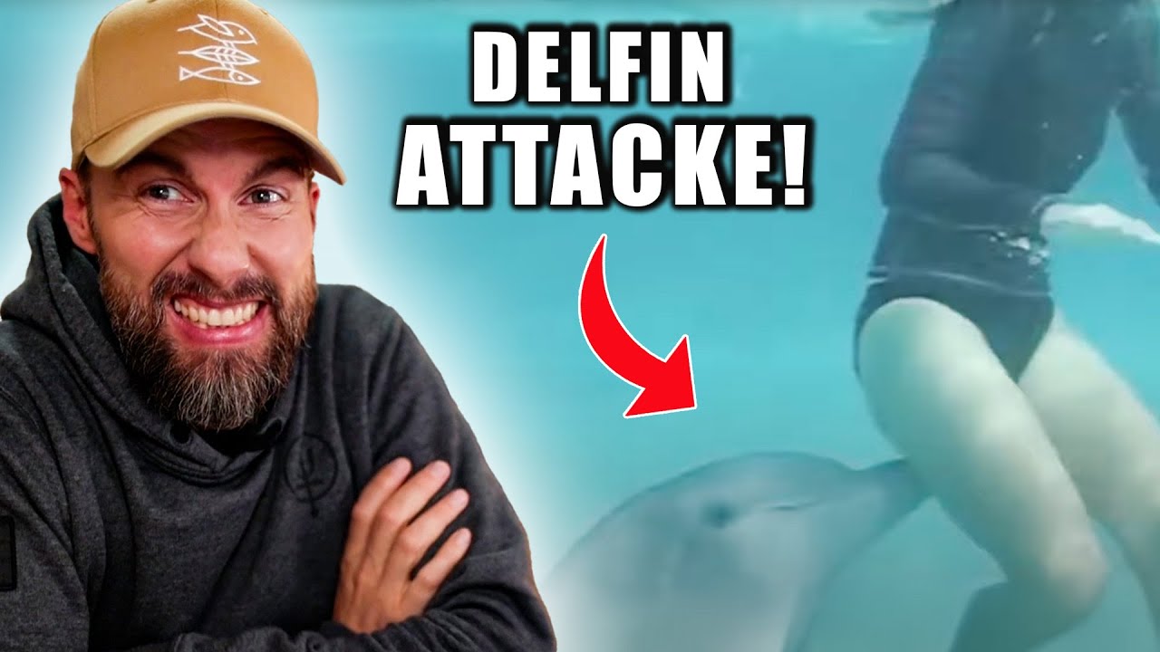 NOTGEILER DELFIN ATTACKIERT 50 MENSCHEN?! Robert Marc Lehmann reagiert ...