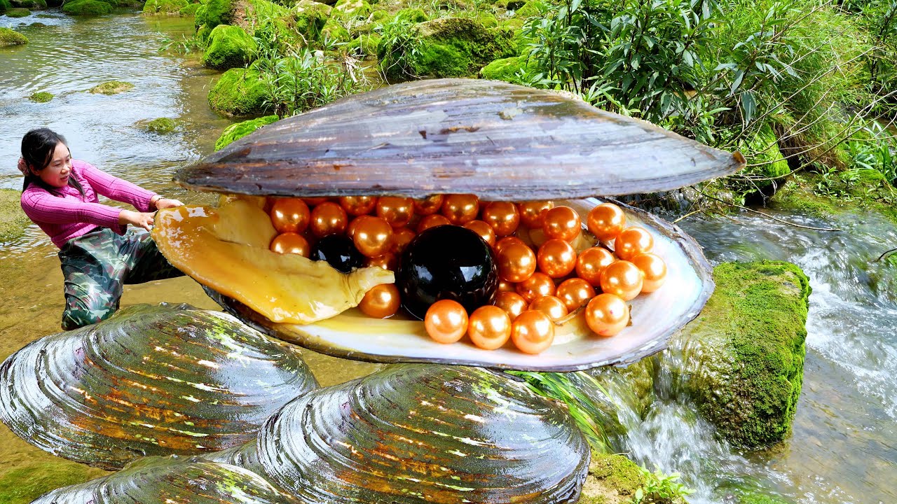 🔥🔥🎁Pry open the giant clam, which is pregnant with priceless pearls, it ...