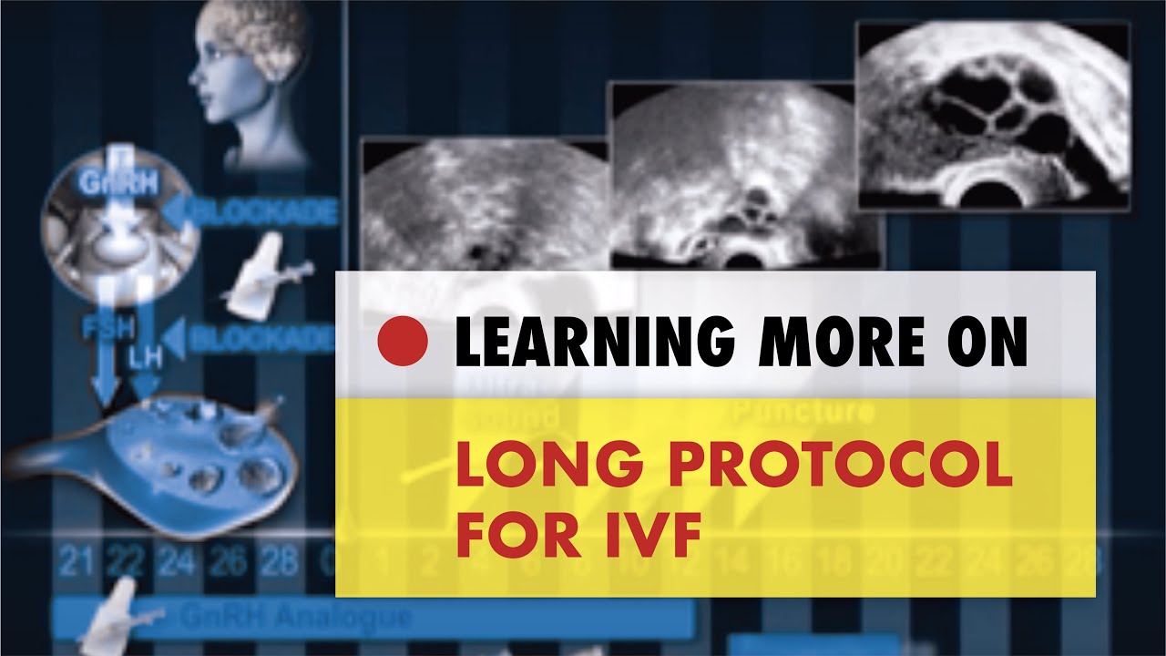 Long Protocol for IVF - YouTube