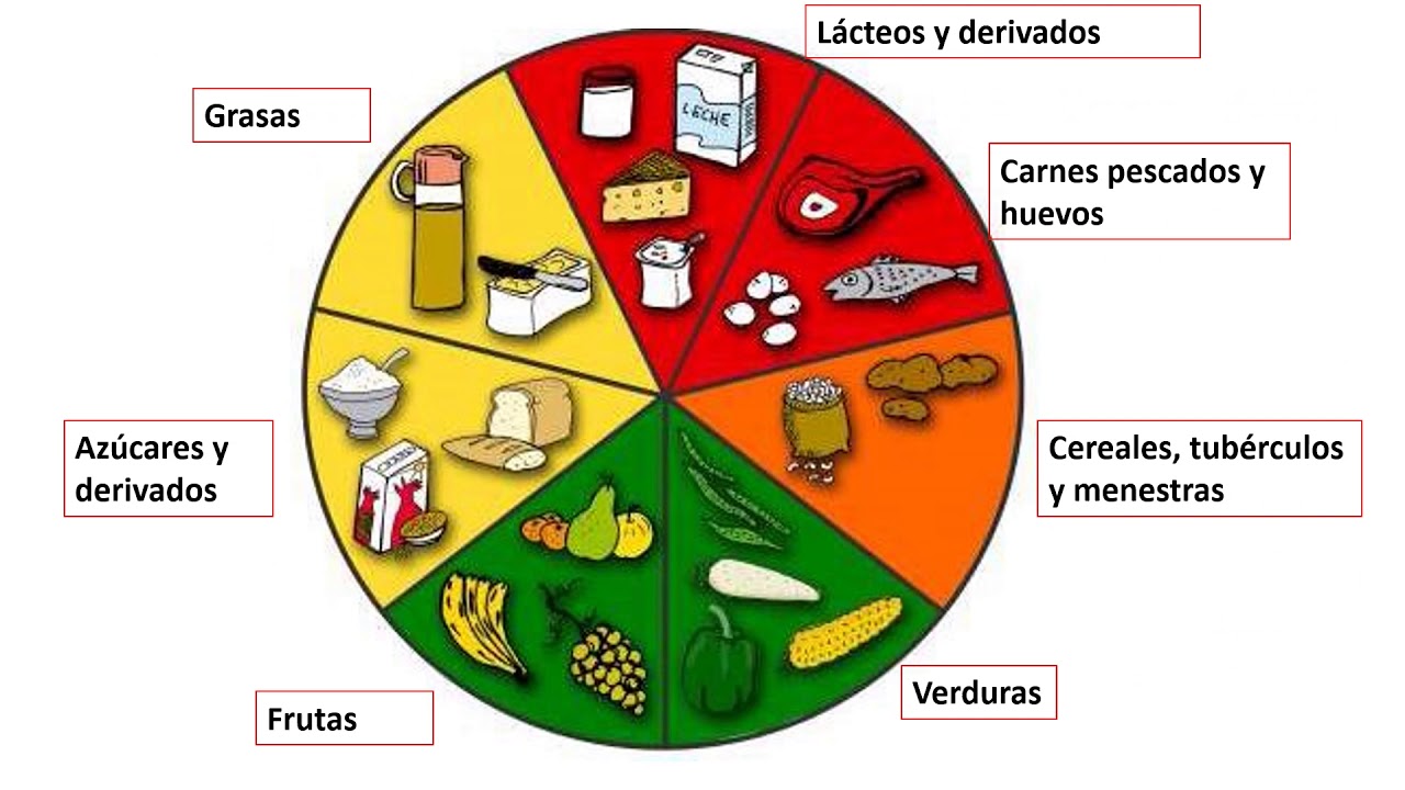 ALIMENTOS NUTRITIVOS - YouTube
