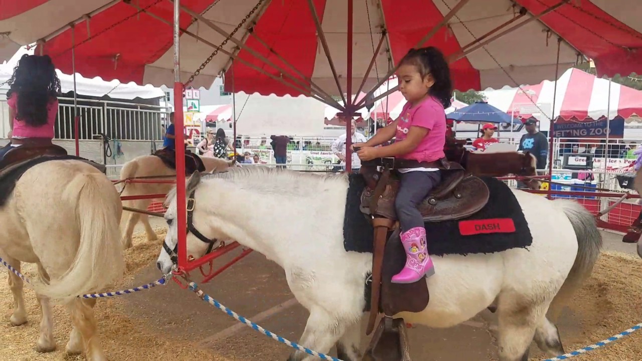 Houston Rodeo! Pony Ride! - YouTube