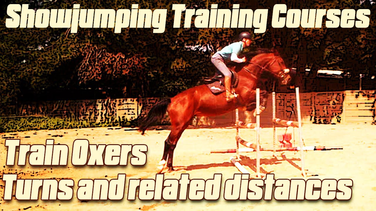 Show jumping training courses - Train oxers, turns and related ...