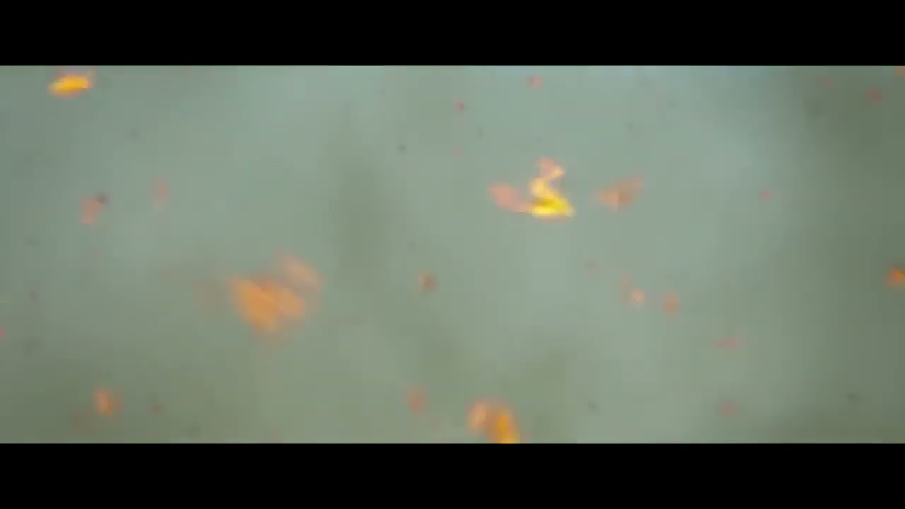 November 22, 2022 - YouTube