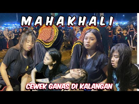 NGERI❗ CEWEK KALAP GANAS DI KALANGAN. BANTENGAN MAHAKHALI LIVE BARAN KAMBINGAN