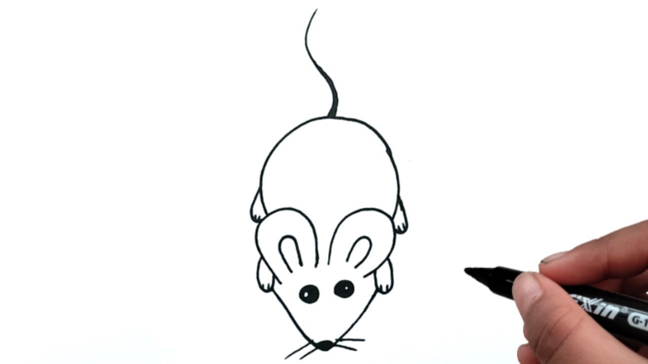 How To Draw A Rat For Kids || Easy rat drawing || - YouTube