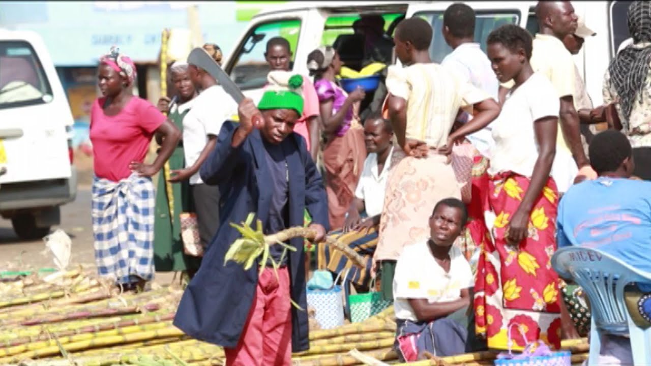 Wasting Sugar Cane prank. - YouTube