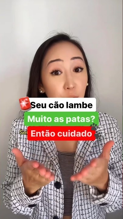 Vem Entender Um Possível Motivo Do Seu Cão Lamber Muito As Patas Youtube