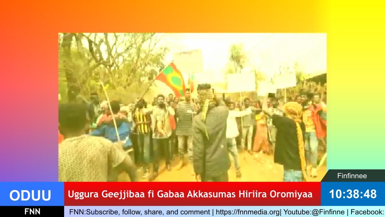 Diddaa fi Hiriira Nagaa Qeerroo fi Qarree - YouTube