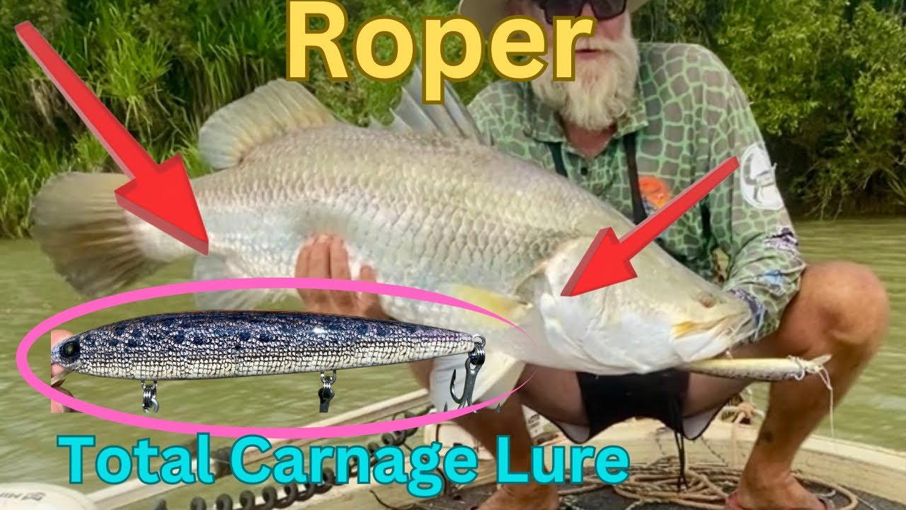 Roper River Barramundi fishing This Lure is a MUST Remote NT - YouTube