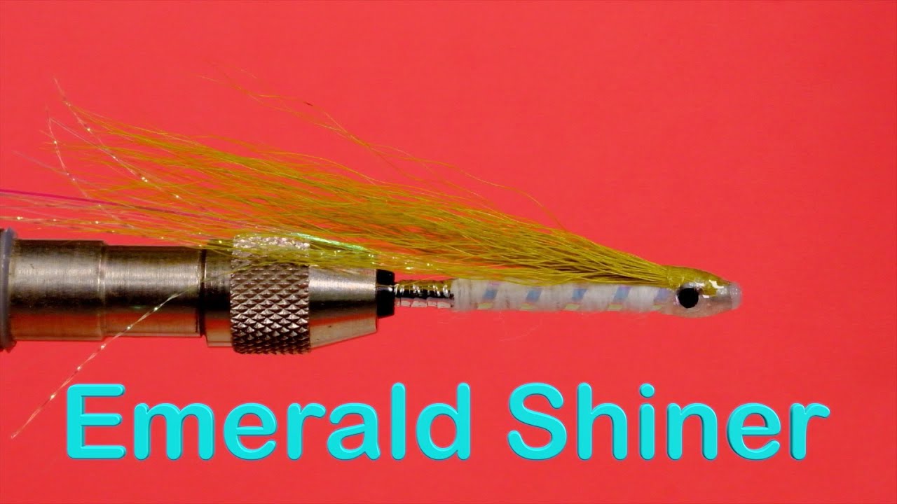 An Easy Steelhead Tube Fly - the Emerald Shiner - YouTube