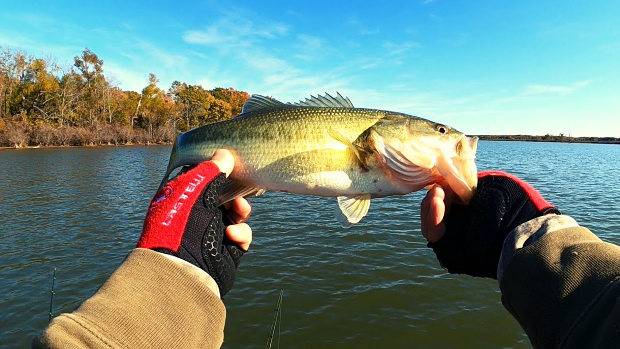 FALL BASS FISHING and 2 chain Pickerel - YouTube