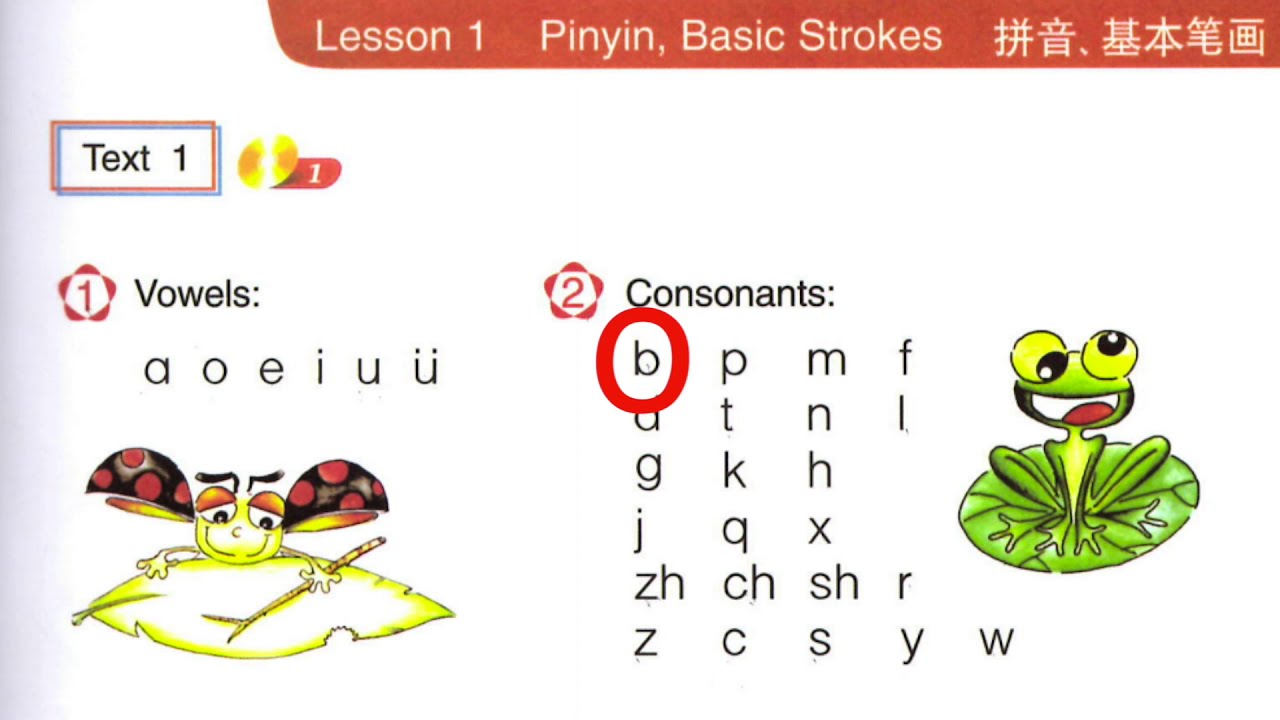 Easy Steps to Chinese 1 | Unit 1 Lesson 1 Pinyin | 汉语拼音 | 学汉语 | 零基础汉语 ...