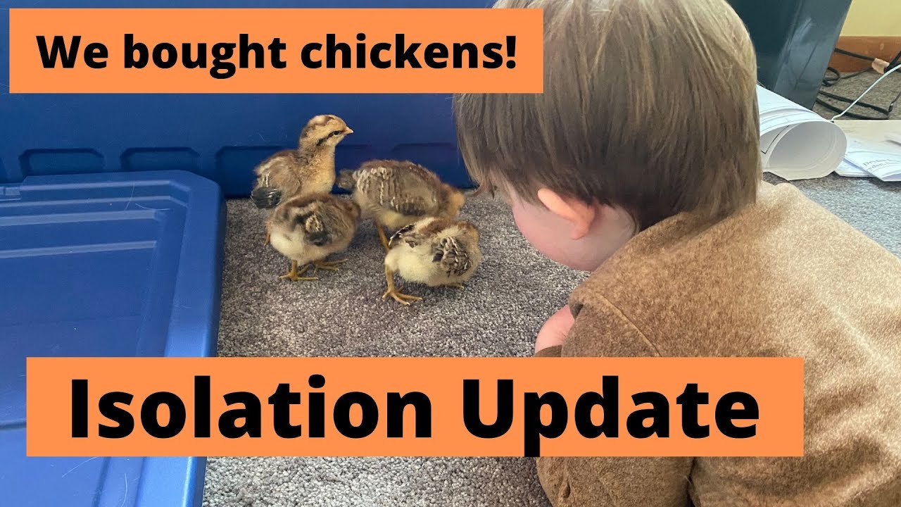 Isolation Update - Tesla Model X news + Chickens! - YouTube