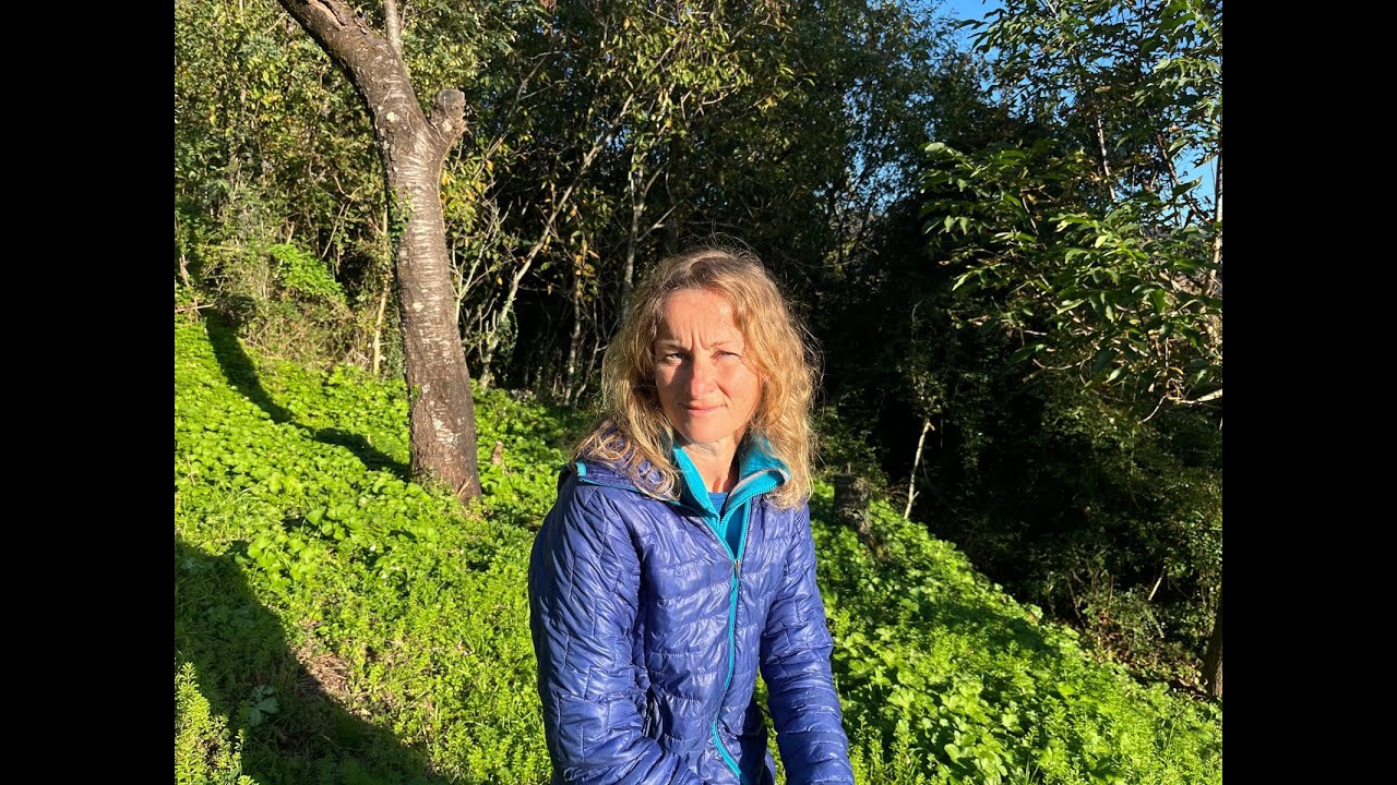 #676 What Stops Us from Responding - YouTube