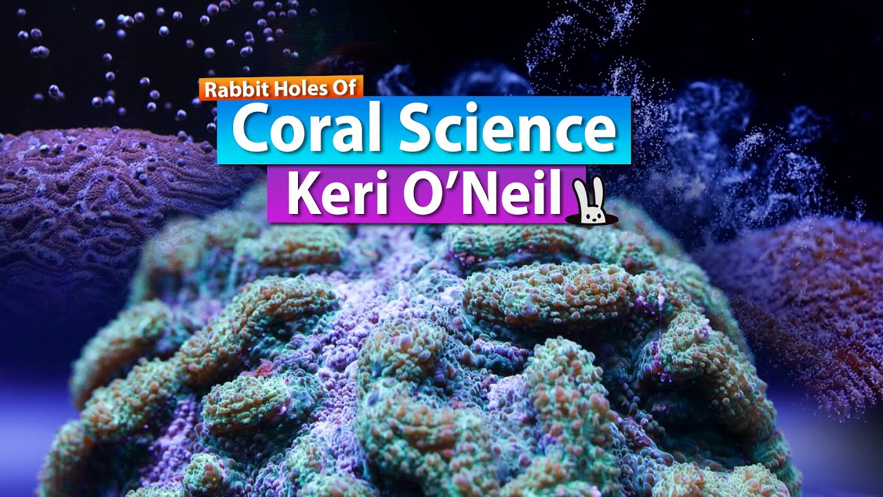 For Science! Coral Science! with Special guest Keri O'Neil ! - YouTube