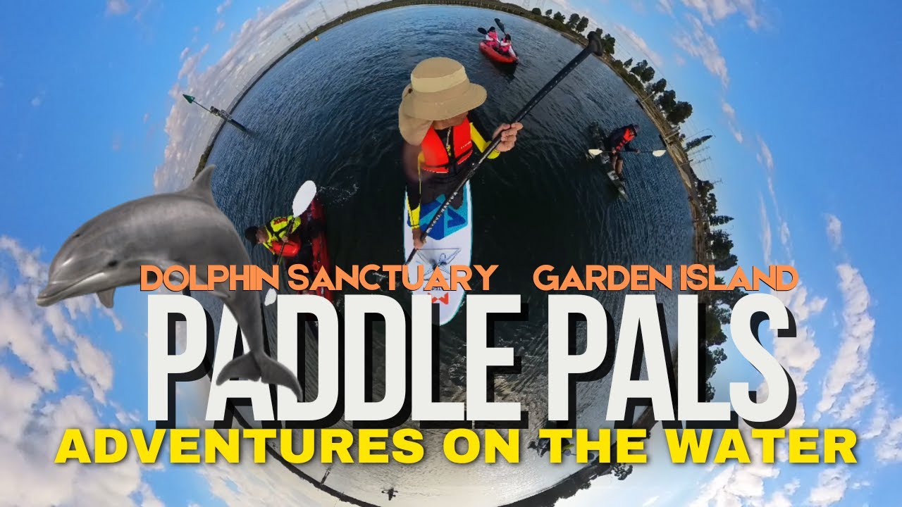 PADDLE PALS at the Dolphin Sanctaury - YouTube