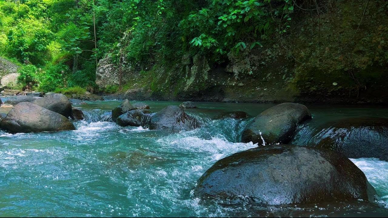 4K-HDR | Flowing River in Forest for Tranquility, Sleep Aid and Inner ...