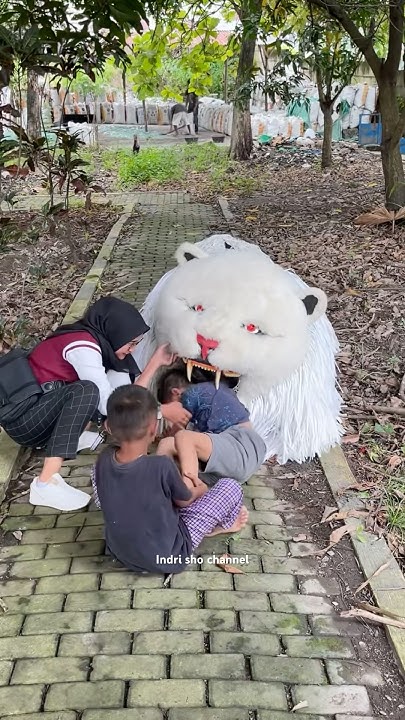 Cewek cantik nolongin bocil yang di makan can macanan - YouTube