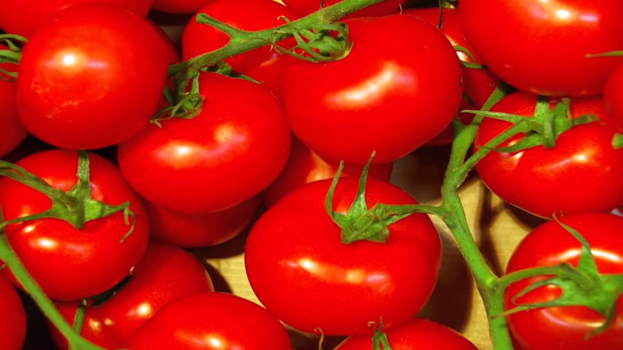 Somos lo que comemos: El jitomate o tomate rojo - YouTube