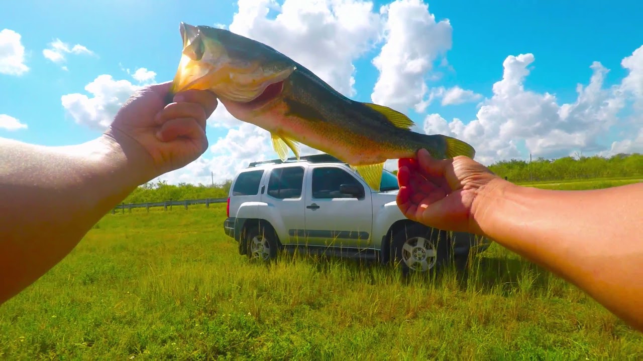 Everglades Road Side Fishing - YouTube