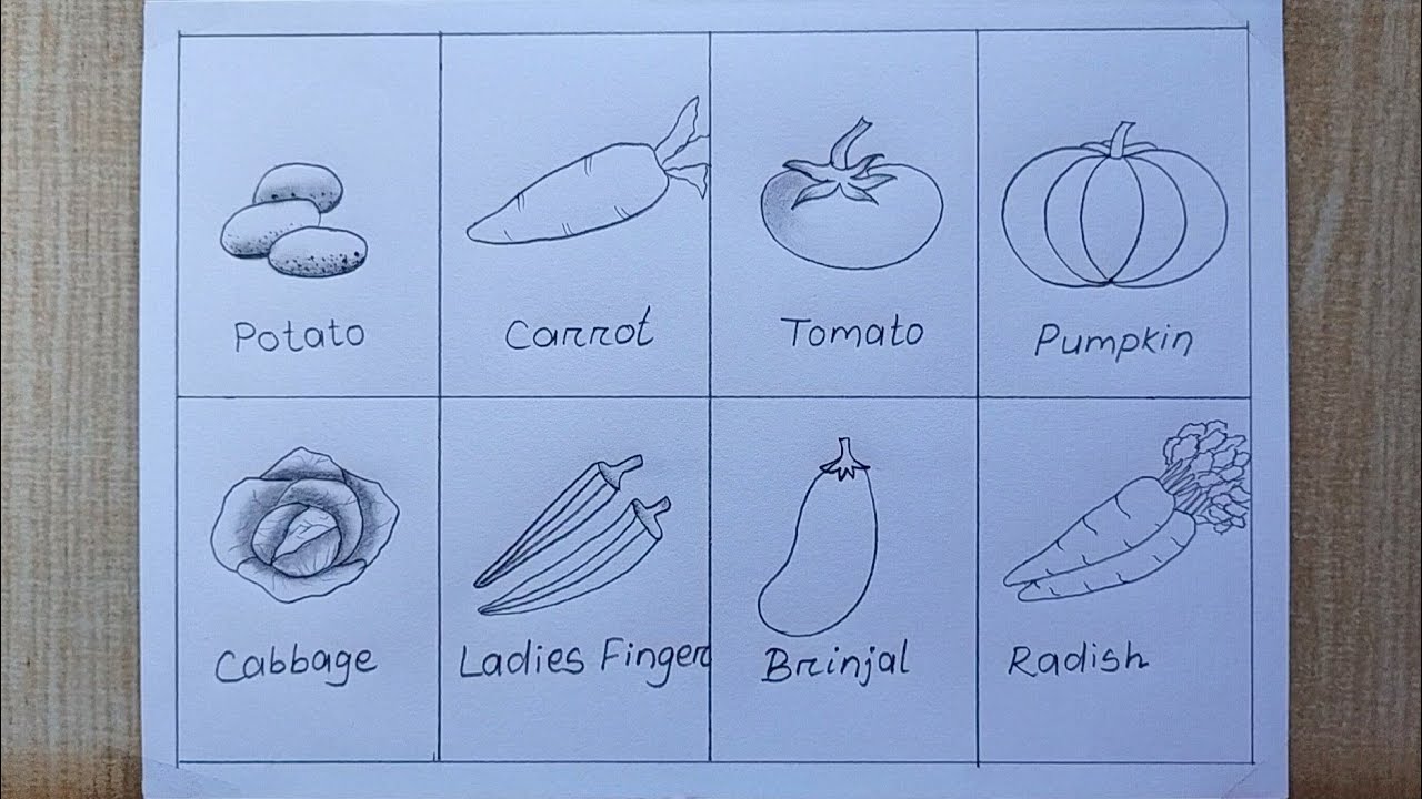 Different types of Vegetables drawing easy| How to draw 8 different ...