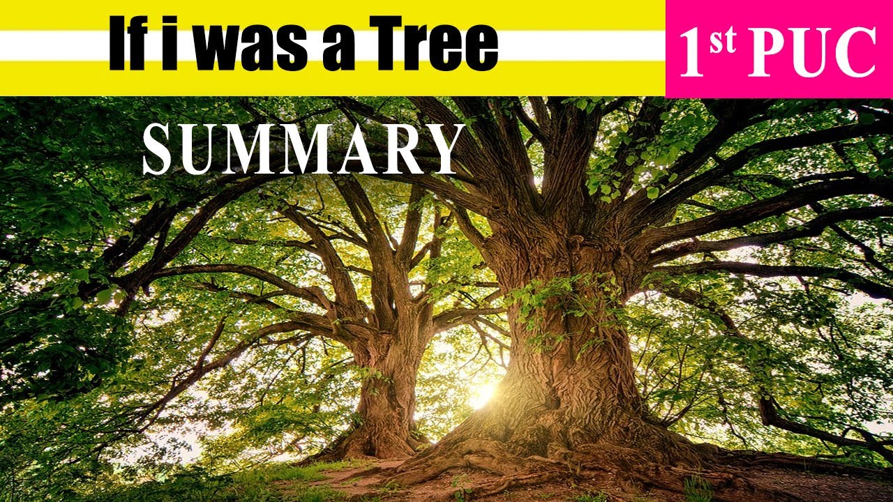 1st PUC If I Was A Tree Summary In English EasyLearn 1stPUC YouTube 1st-puc-if-i-was-a-tree-summary-in-english-easylearn-1stpuc-youtube