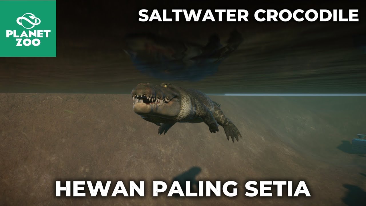 BUAYA TERNYATA HEWAN PALING SETIA??? | Planet Zoo - Indonesia - YouTube