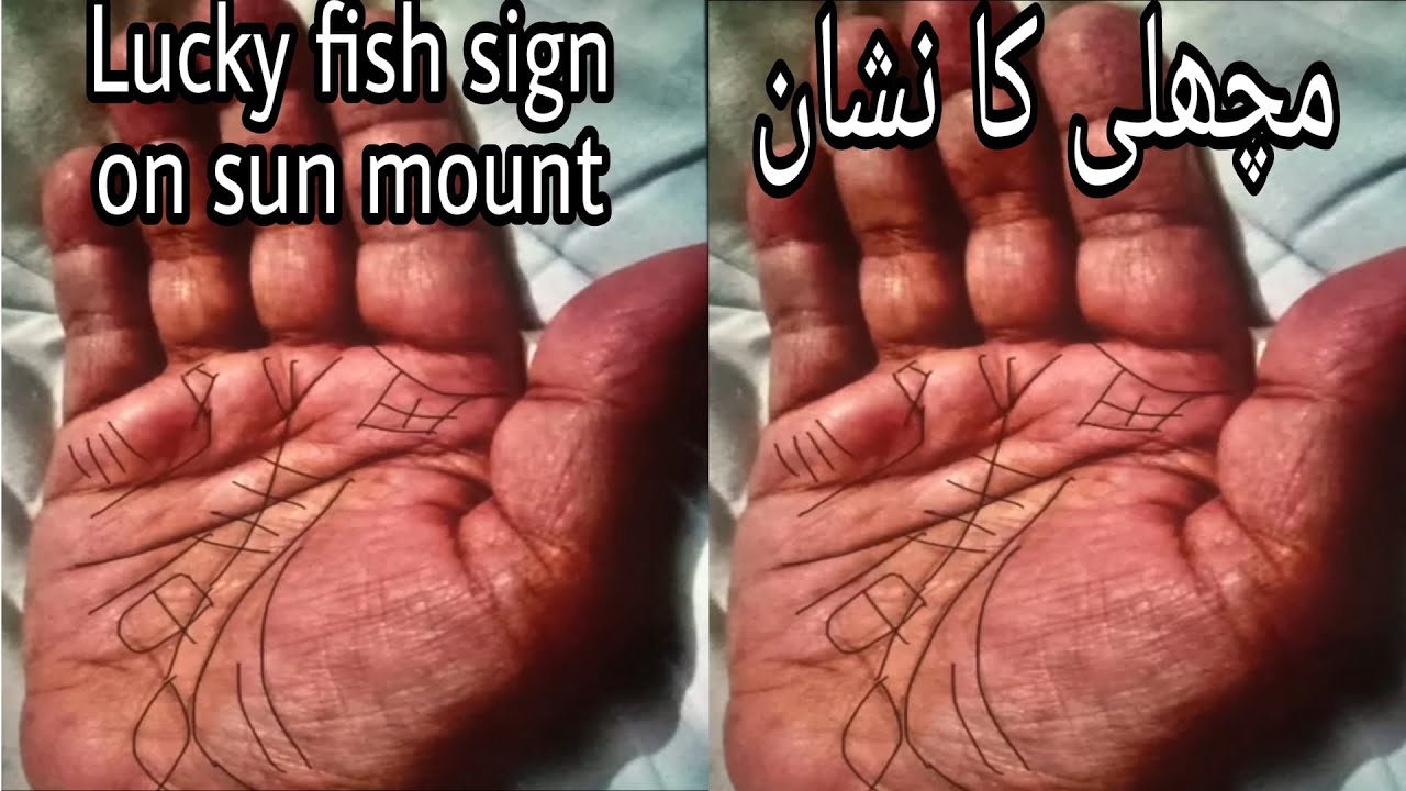 Lucky fish sign on Sun mount مچھلی کا نشان Raja uk palmistry - YouTube