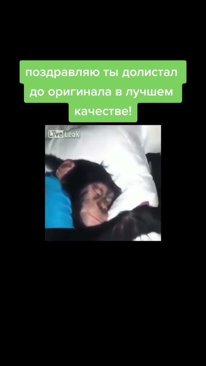 Ержан на работу пора😂 - YouTube
