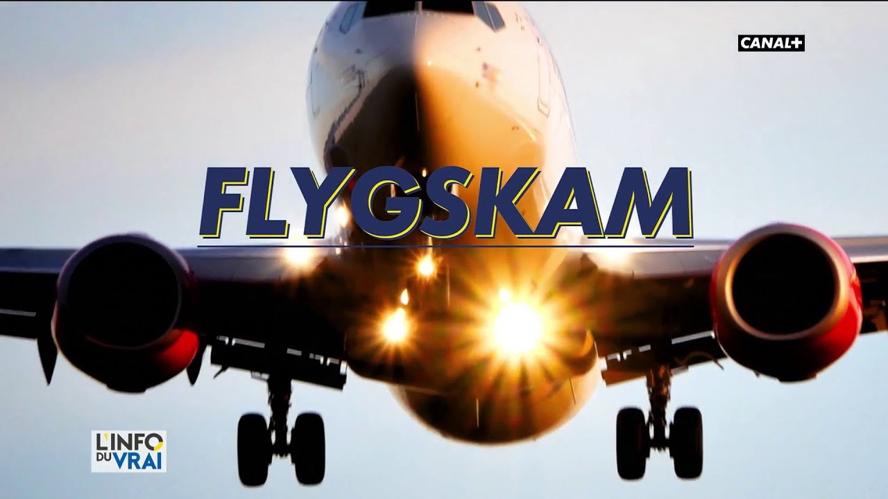 Le Flygskam : La honte de prendre l'avion - YouTube